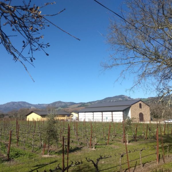 Wellington Cellars Wine Barrel Storage | Eco-Friendly Buildings